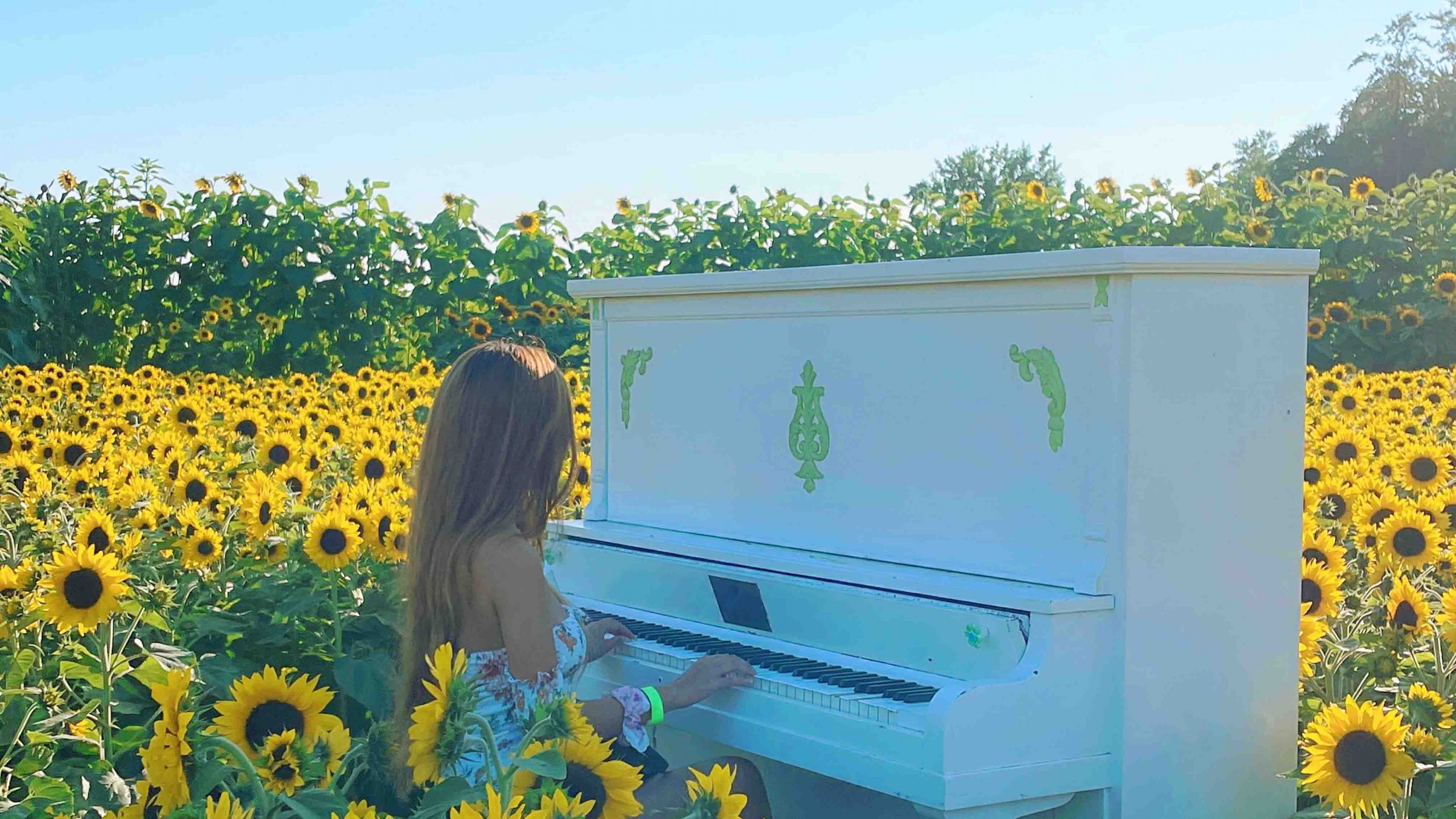 Harnessing the Magic of Colors to Elevate your Mood and Find Happiness